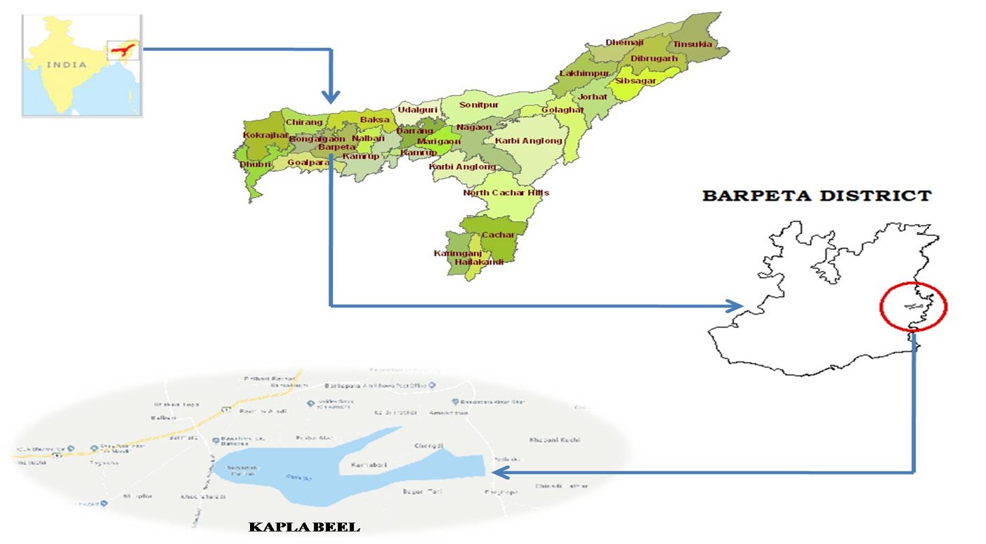 Study of the floristic diversity of Kapla beel of Barpeta District ...